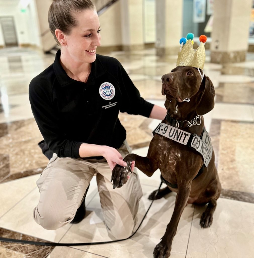 Explosives detection dog voted TSA's Cutest Canine of 2024