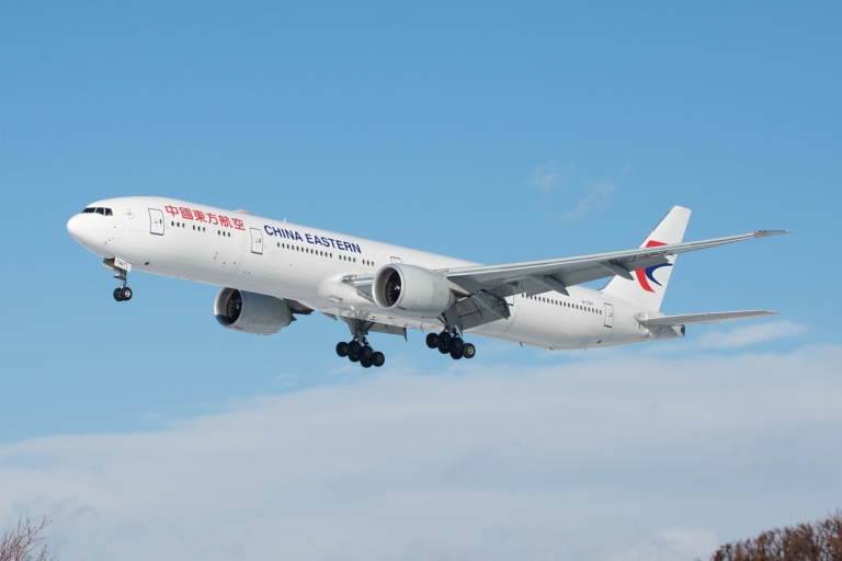 Top 10 airlines with the biggest fleets in 2026