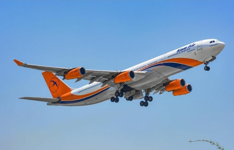 13-year-old Afghan stowaway survives Airbus A340 wheel-well flight