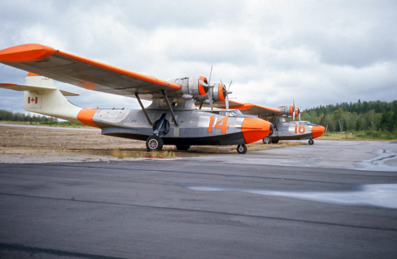Meet ‘Miss Pick Up’ – one of the world’s last great flying boats