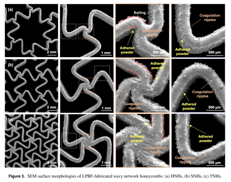 Move over birds: Plant seeds inspire new generation of morphing ...