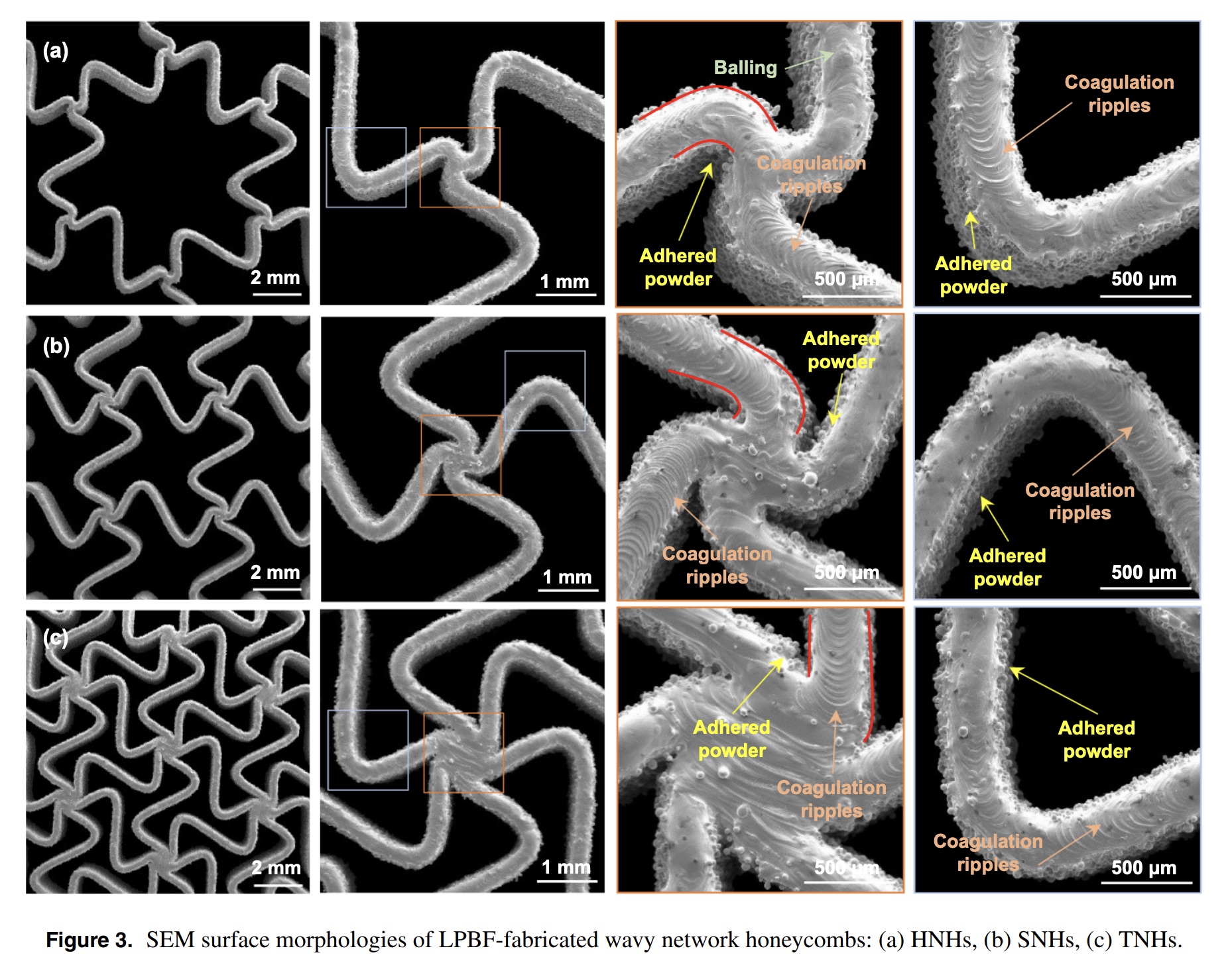 Move over birds: Plant seeds inspire new generation of morphing ...