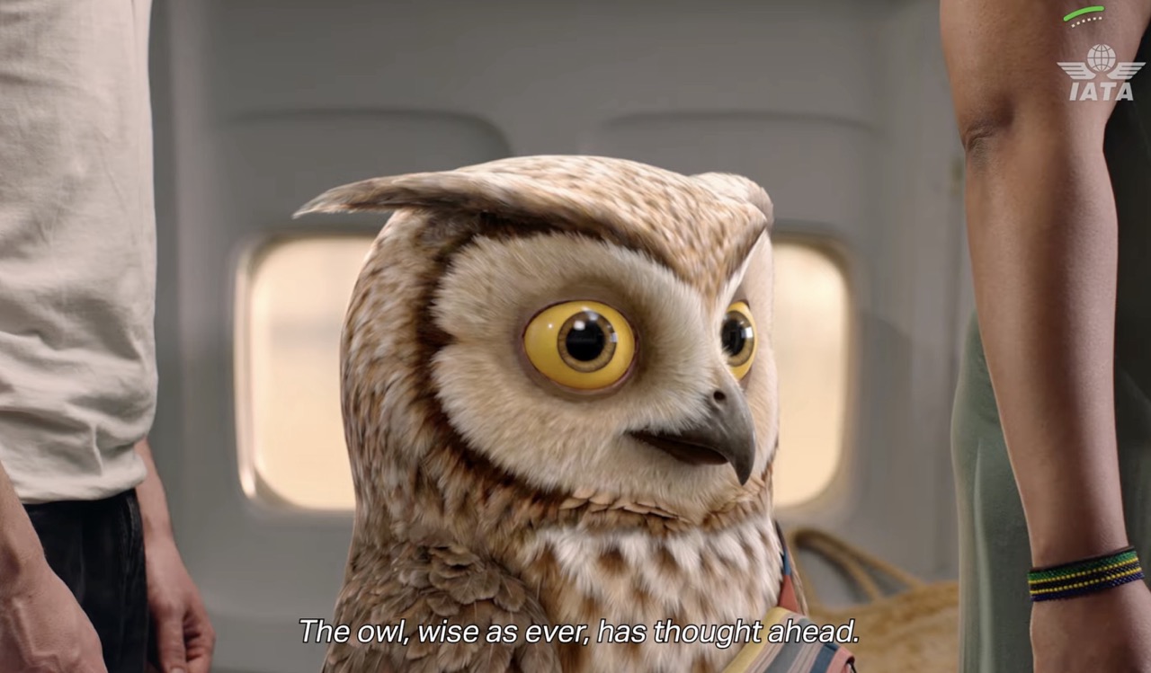 Save a Life, Not a Bag: IATA's new campaign for safer evacuations